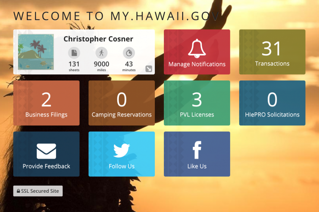 Hawaii.gov Redesign – Tyler Hawaii